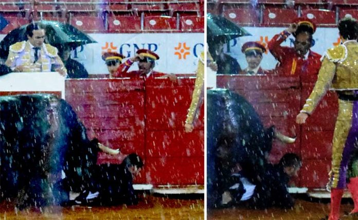 El apoderado sevillano Jorge Cutiño, corneado | Sevilla Taurina